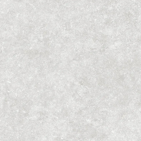 Bluestone Coin Porcelain Paving Tiles 600x600